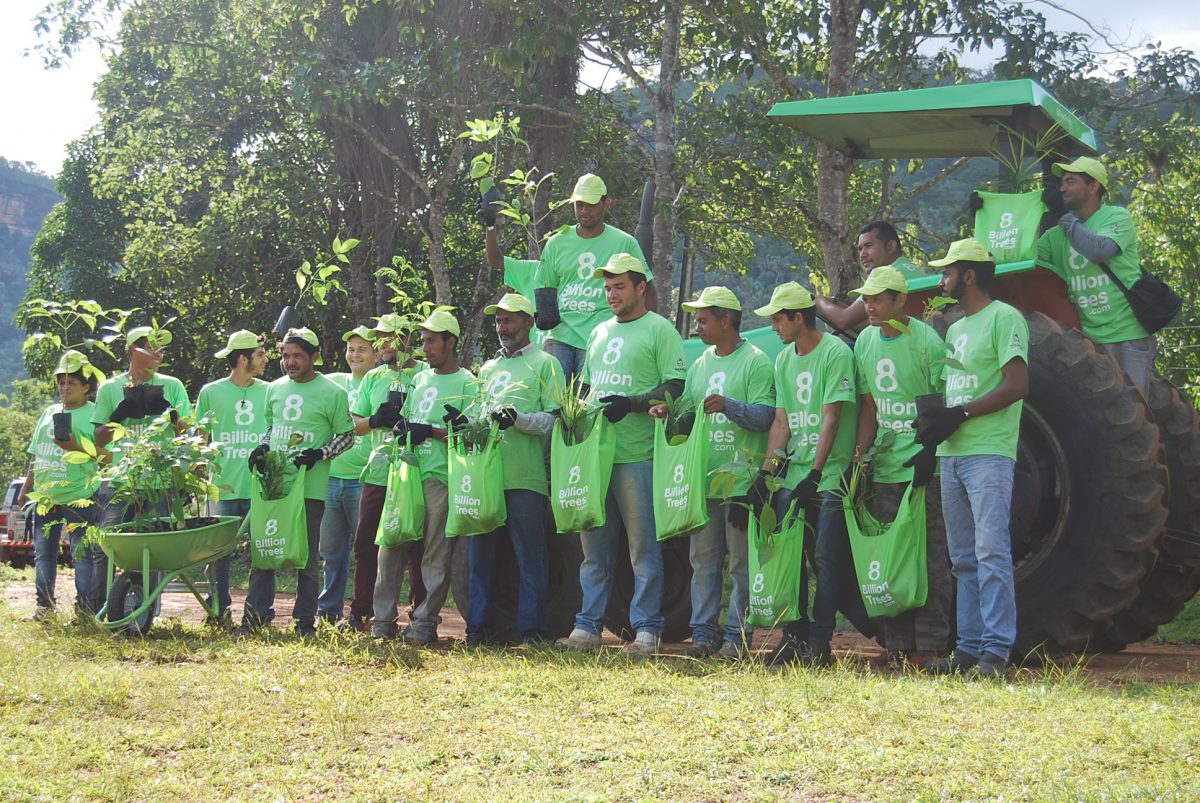 8 Billion Trees Saves Animals & Trees Around The World - Save The Earth